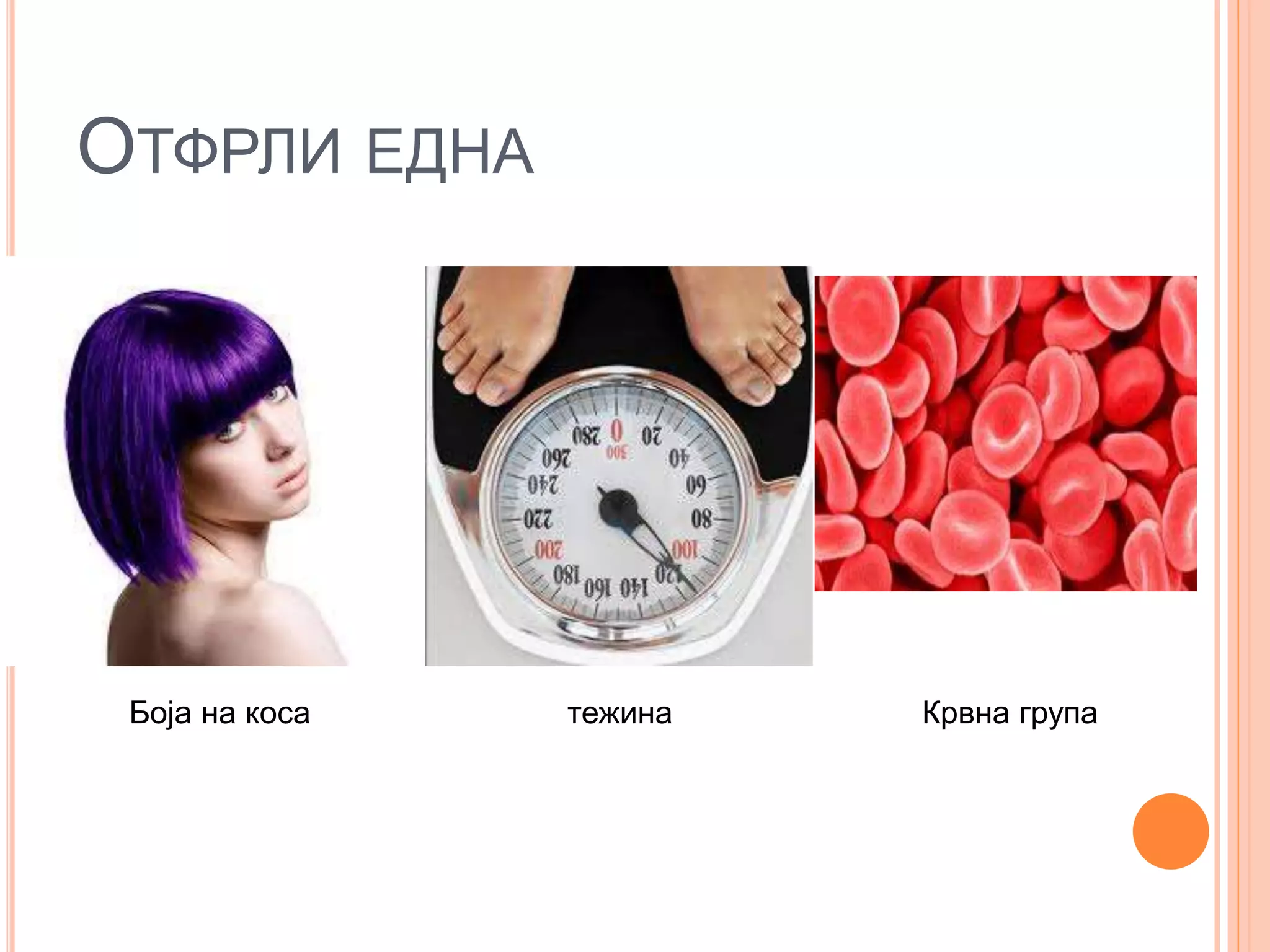 Varijacija i karakteristiki maja | PPT