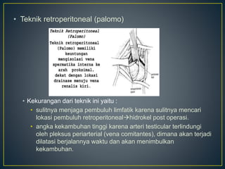 Varikokel bilateral | PPTX