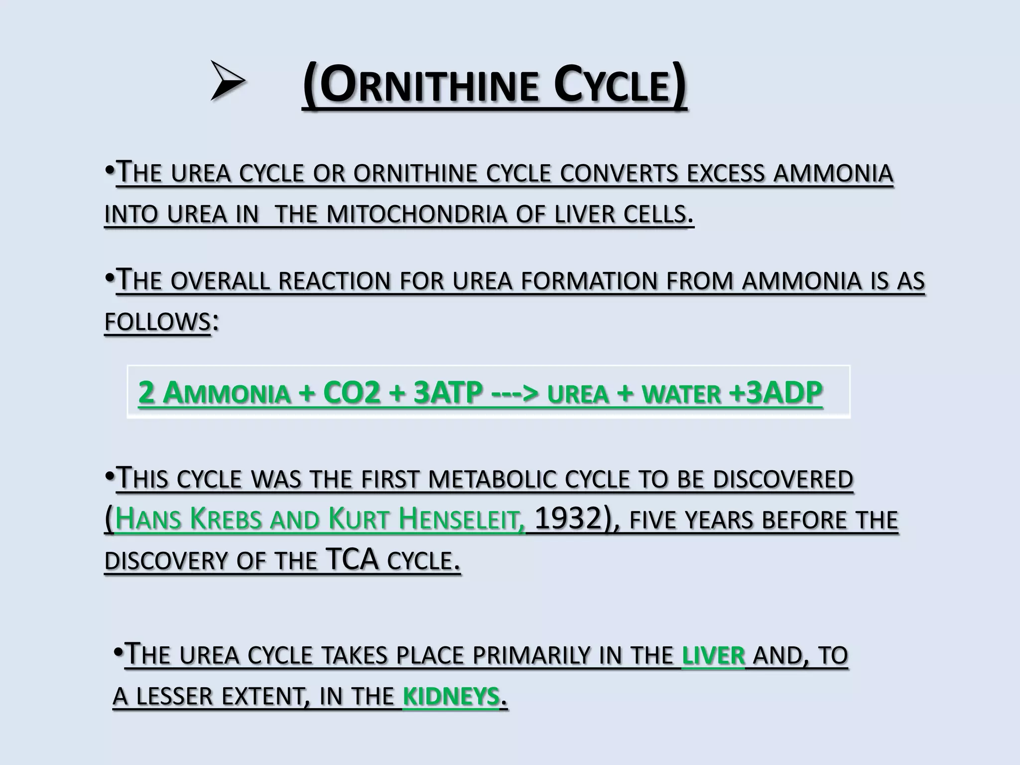 urea cycle{ornithine cycle} | PPTX