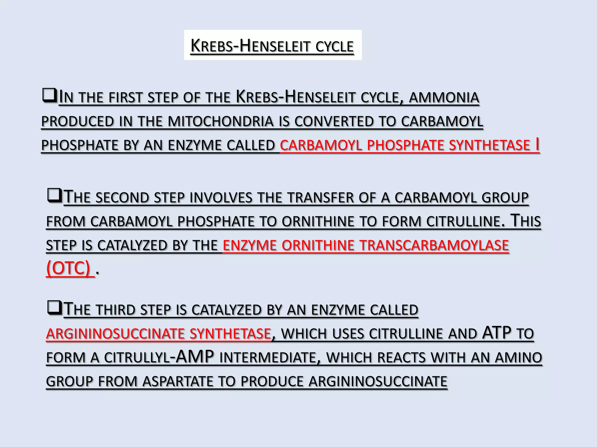 urea cycle{ornithine cycle} | PPTX