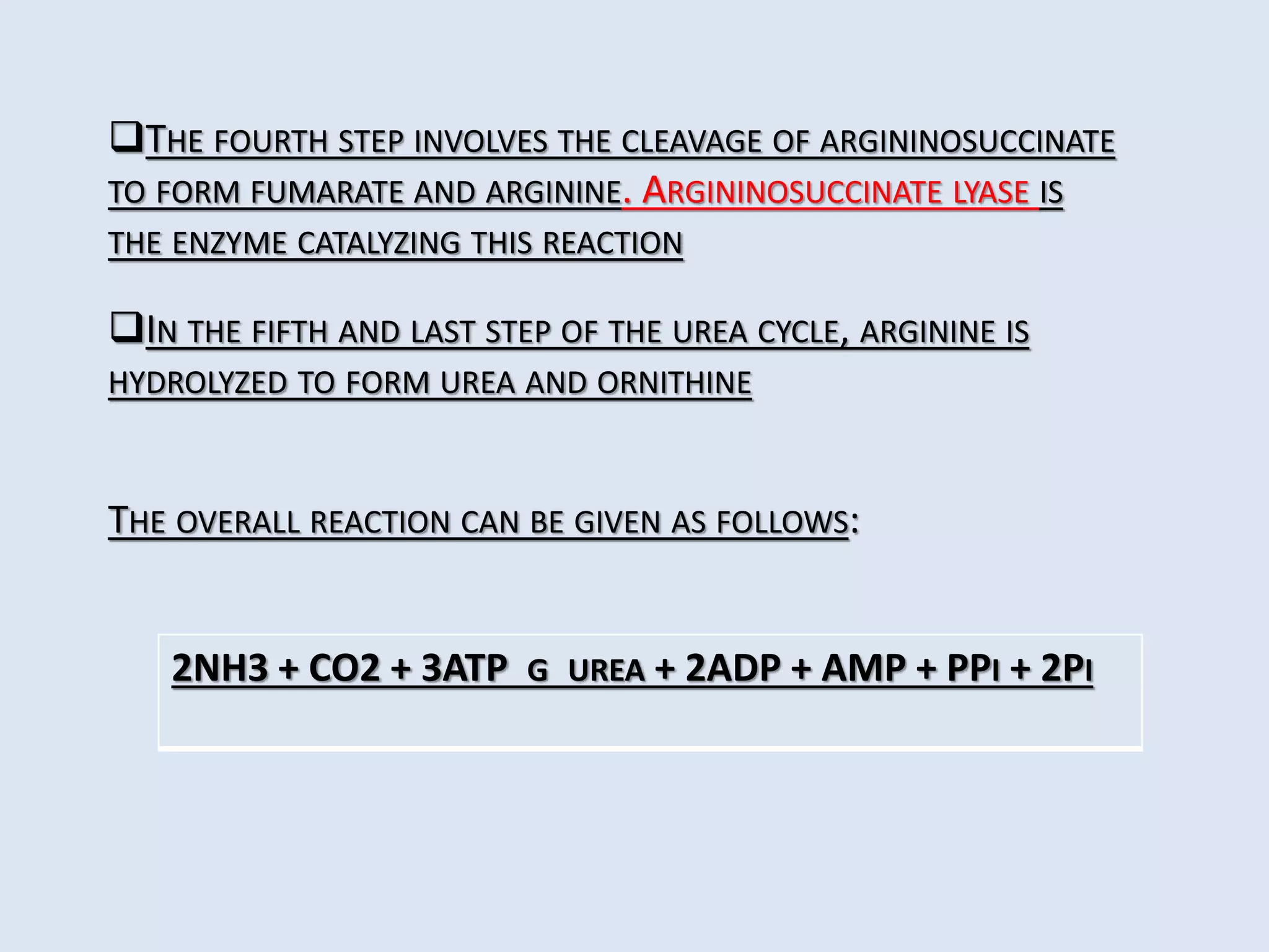 urea cycle{ornithine cycle} | PPTX
