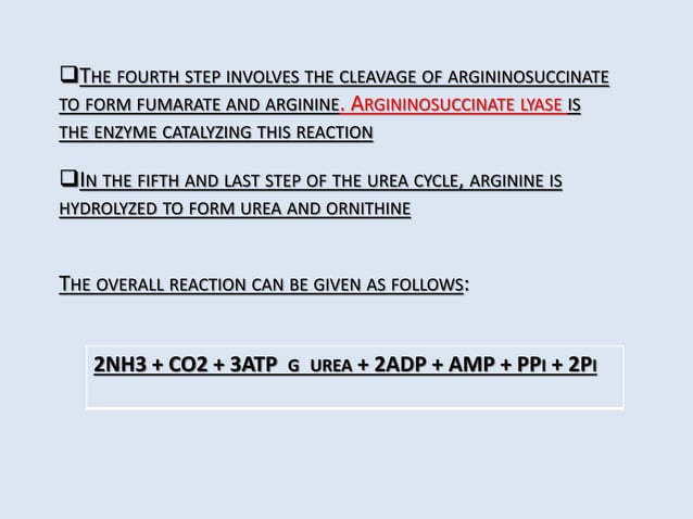 urea cycle{ornithine cycle} | PPTX