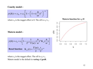 Variogram C9.ppt