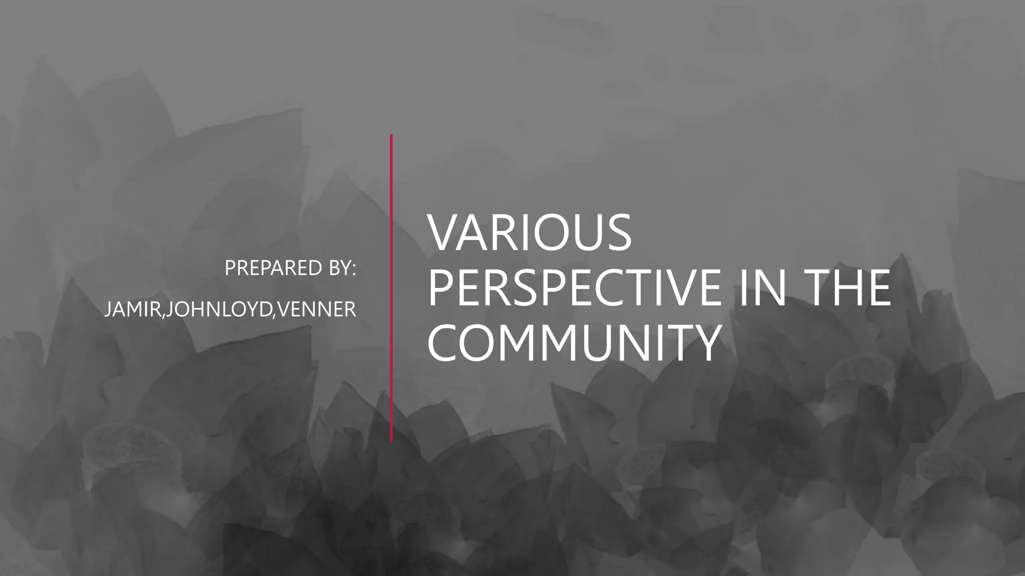 VARIOUS-PERSPECTIVE-IN-THE-COMMUNITY-2.pptx