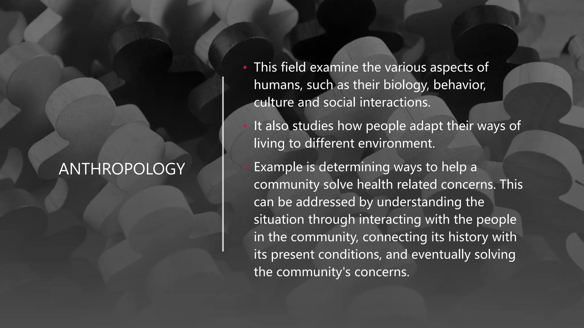 VARIOUS-PERSPECTIVE-IN-THE-COMMUNITY-2.pptx