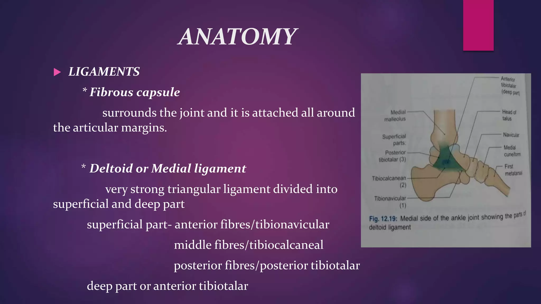 Various ankle injuries and it’s management | PPTX