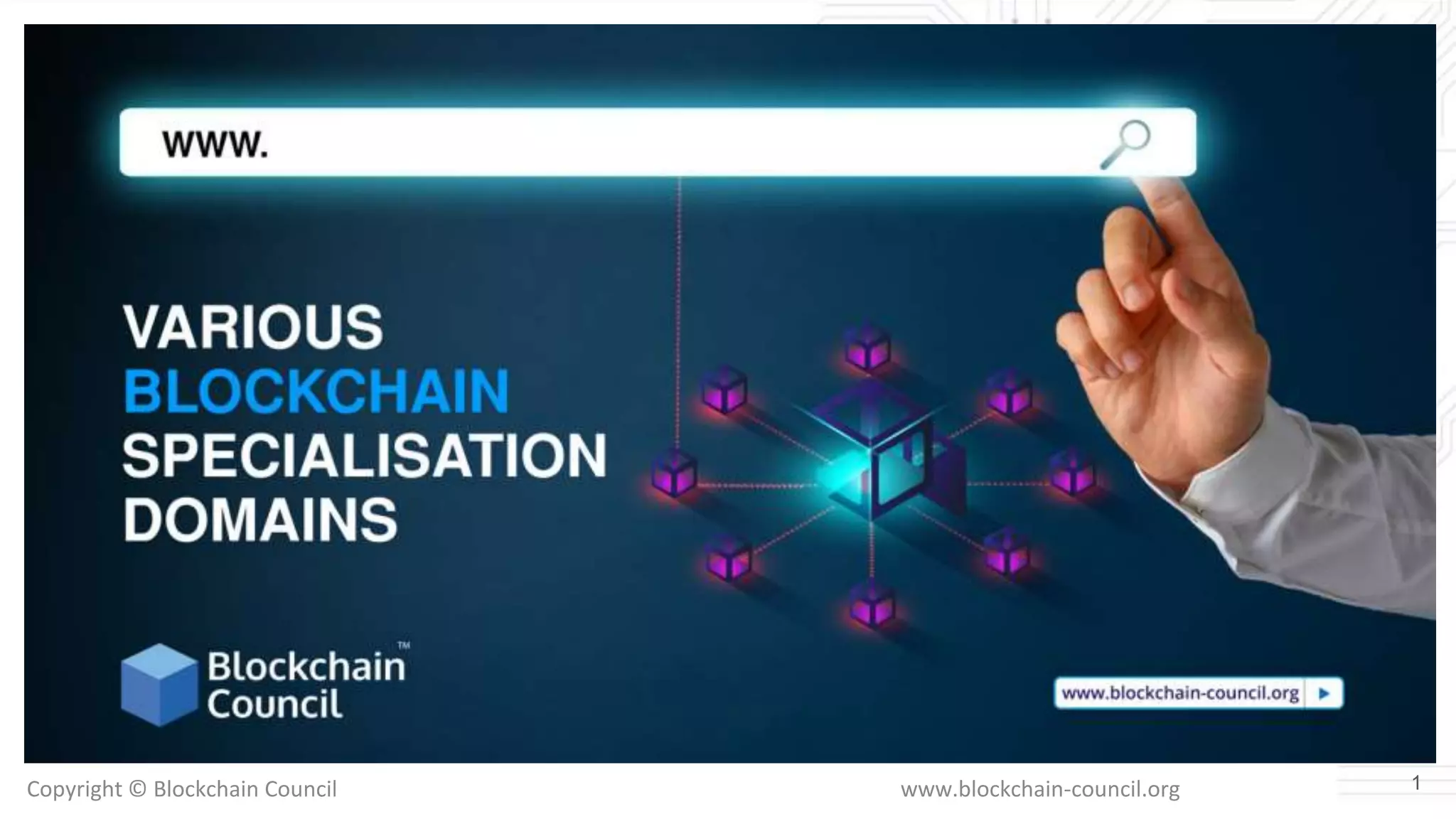 Various blockchain specialization domains | PPT