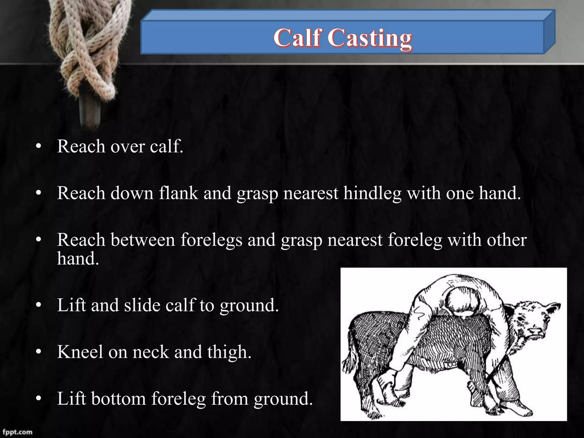 Various Casting Techniques | PPTX