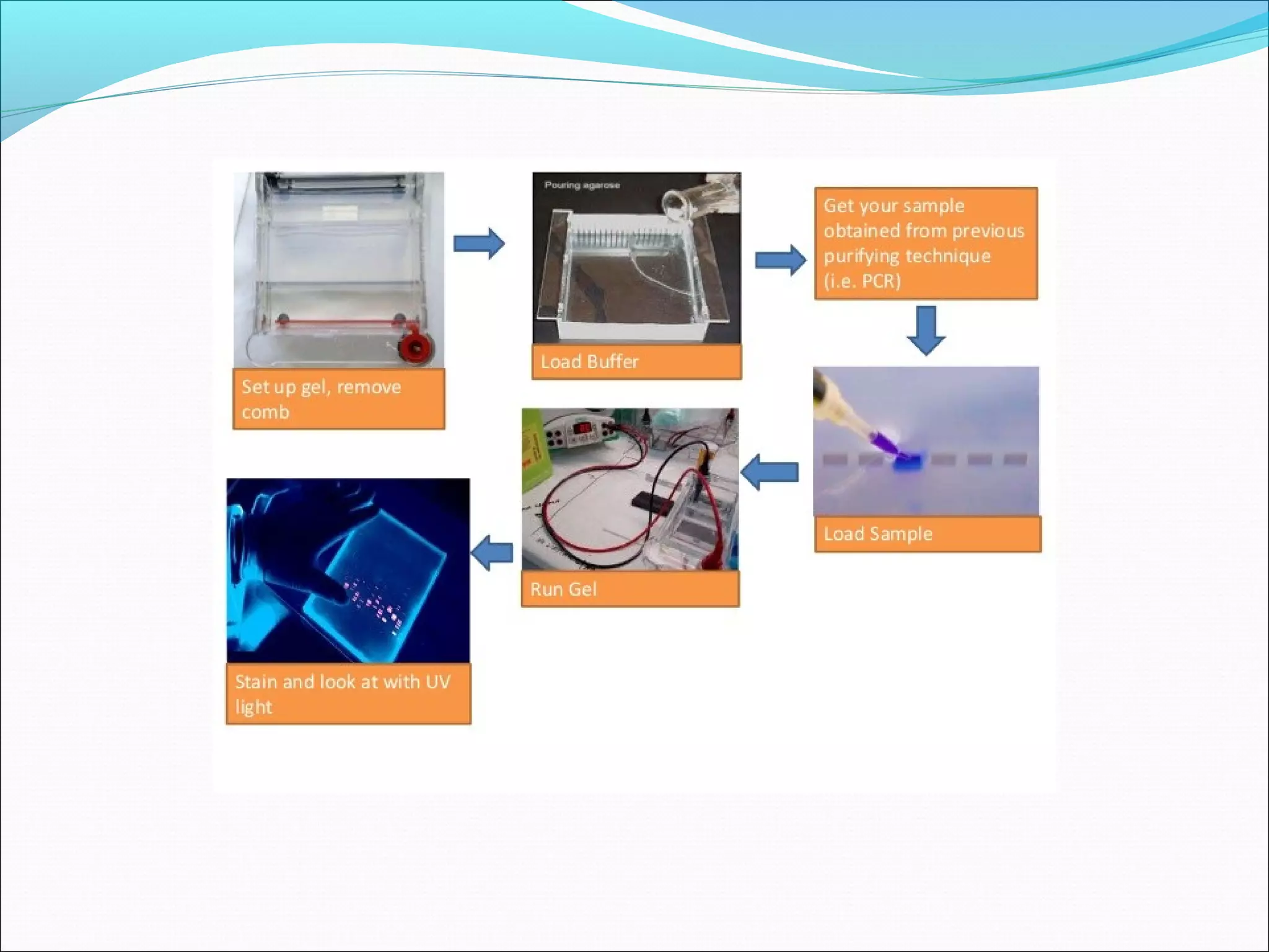Various biochemistry lab instruments | PPT