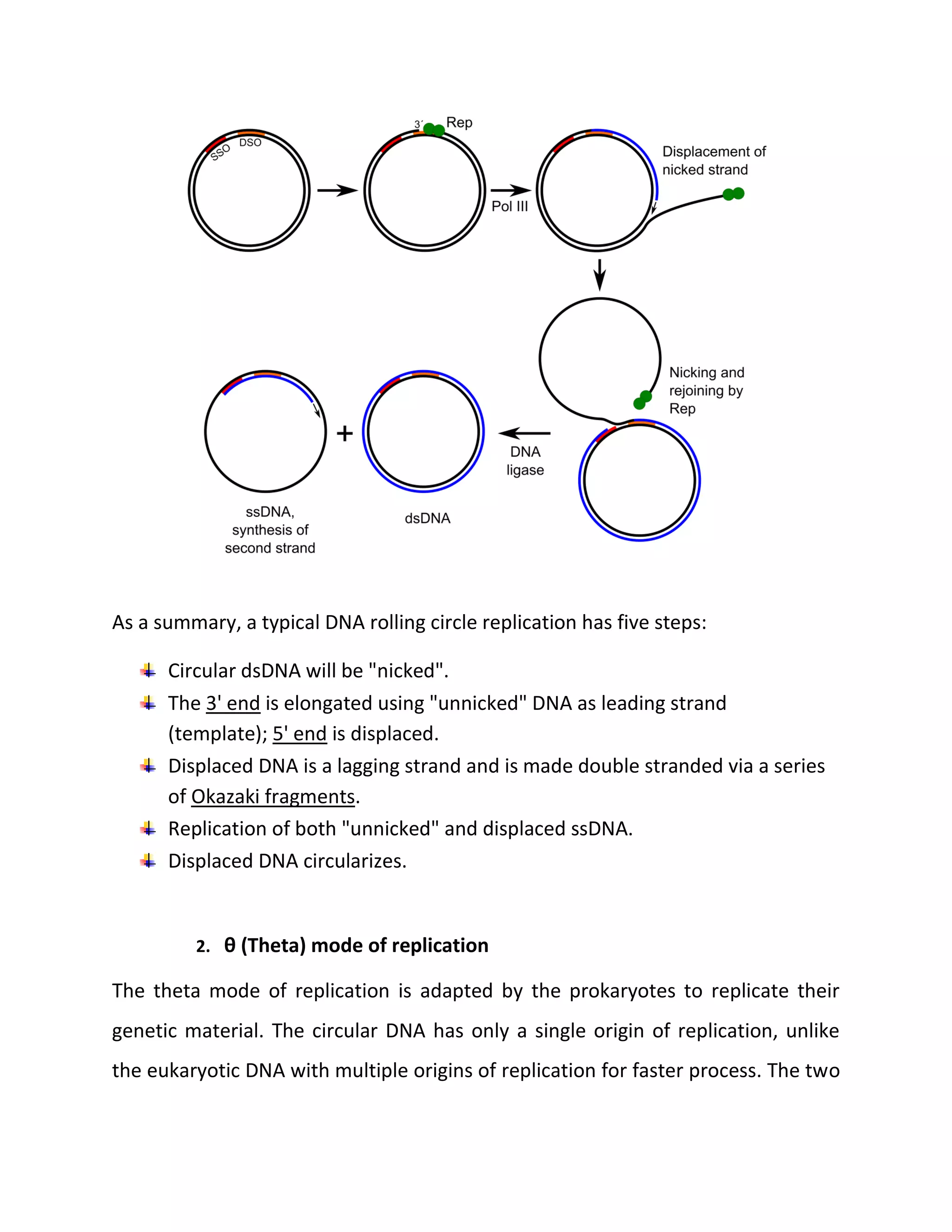 Various model of DNA replication | PDF