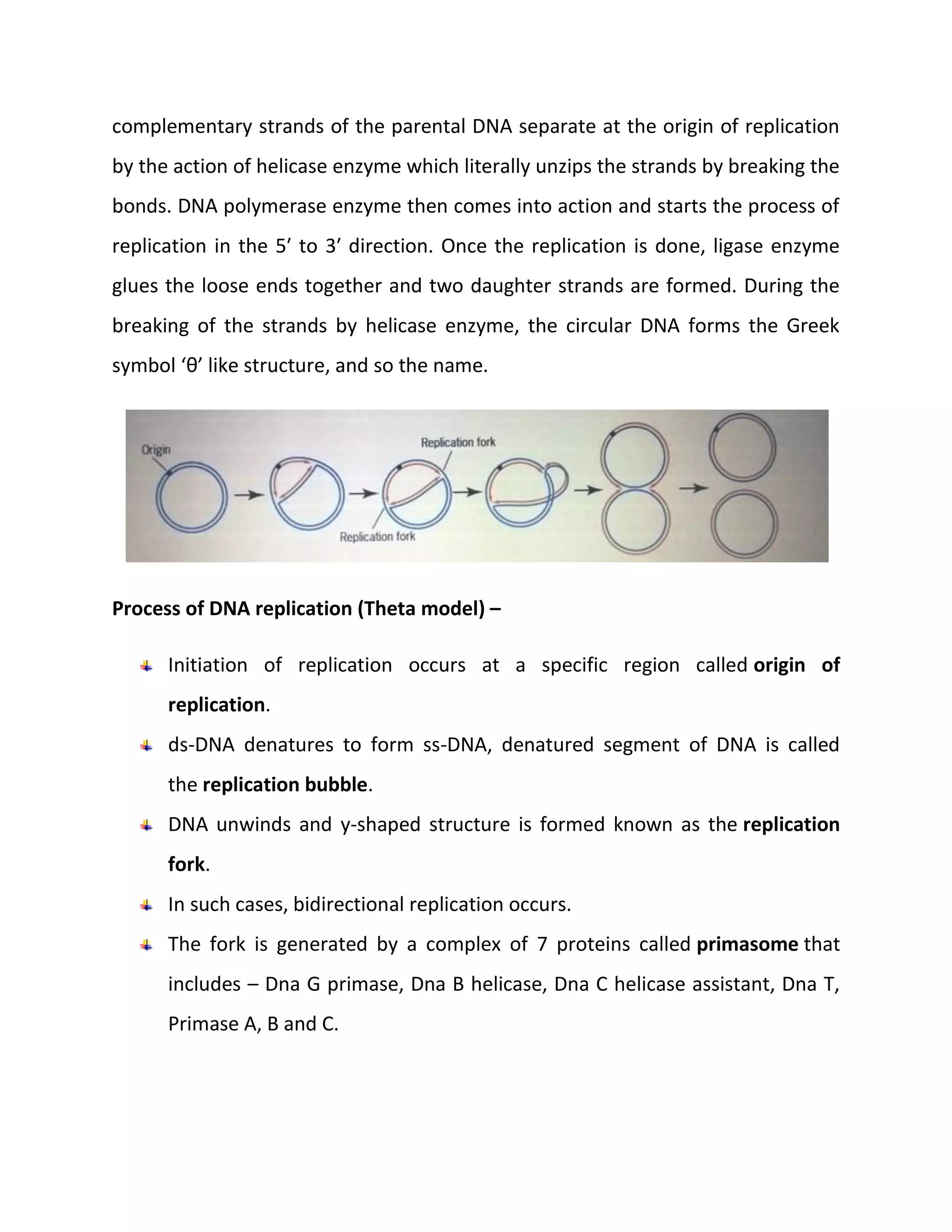 Various model of DNA replication | PDF