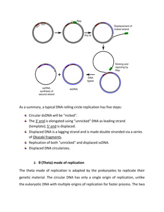 Various model of DNA replication | PDF