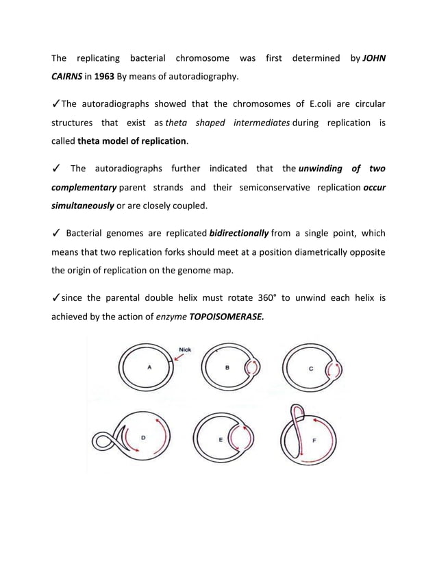 Various model of DNA replication | PDF