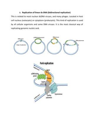 Various model of DNA replication | PDF