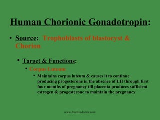 Various Parts Of Reproductive Organs& Their Functions | PPT