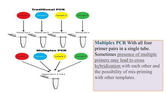 PCR & It's Various Types, DNA chip method & Serological methods of Seed ...