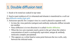 PCR & It's Various Types, DNA chip method & Serological methods of Seed ...
