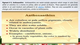 Various Pigments in Plant - MANUGAY.pptx