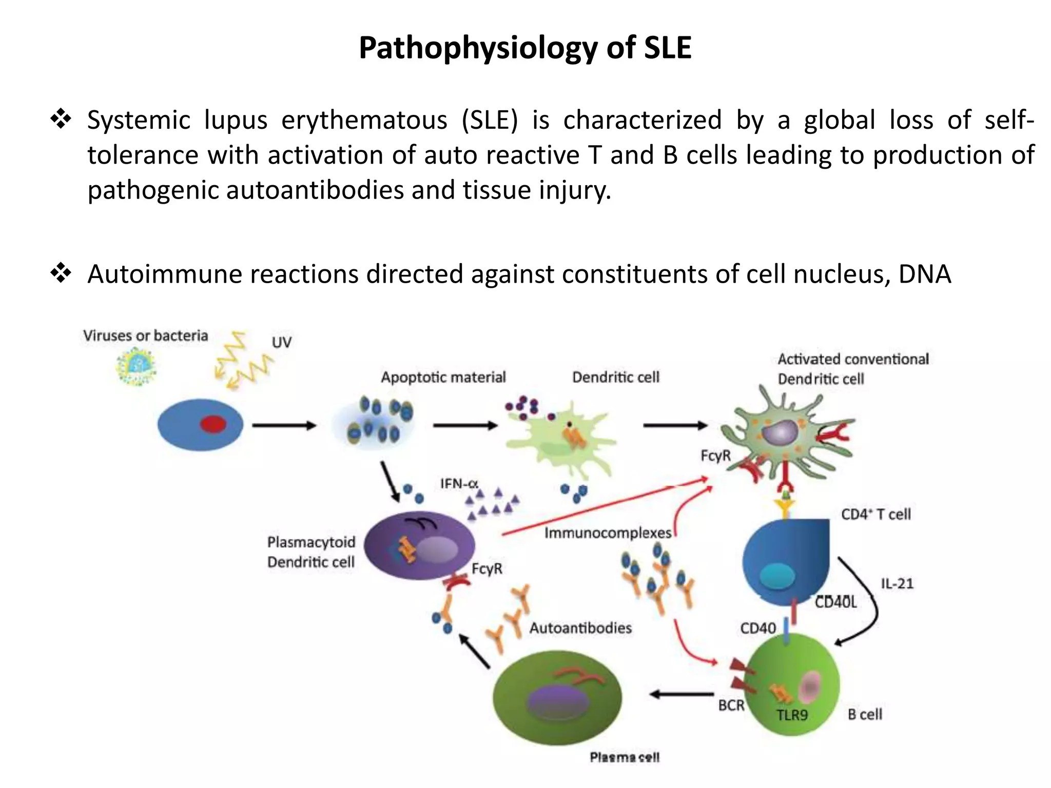 Various rheumatological diseases | PPTX