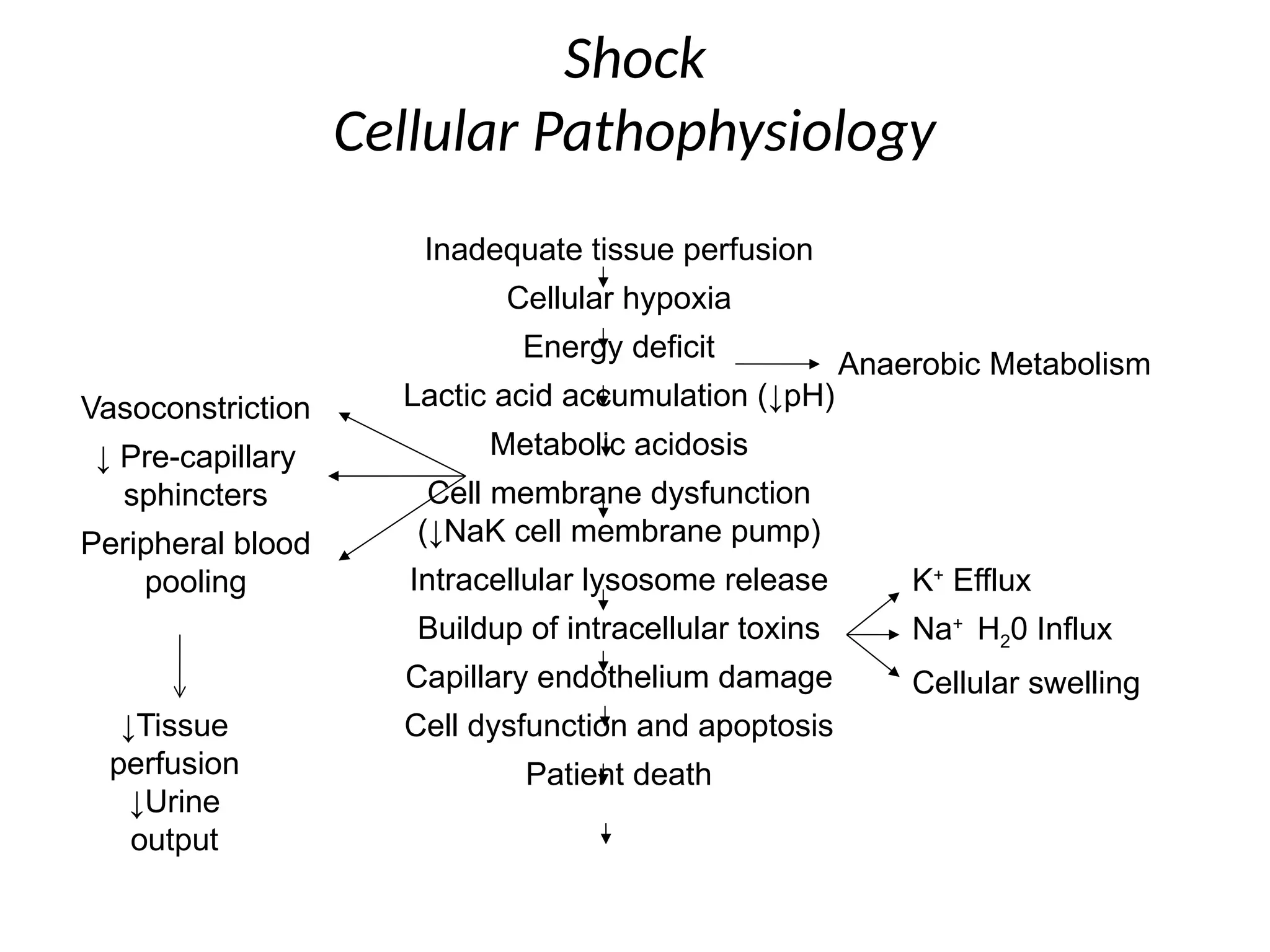 various shock types hemorrhagic and others.pptx