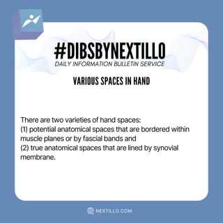 Various Spaces in Hand | DIBS | Nextillo | PDF