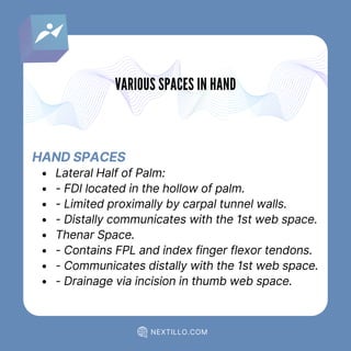 Various Spaces in Hand | DIBS | Nextillo | PDF