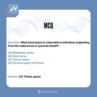 Various Spaces in Hand | DIBS | Nextillo | PDF