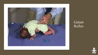 Physical development in infancy period | PPTX