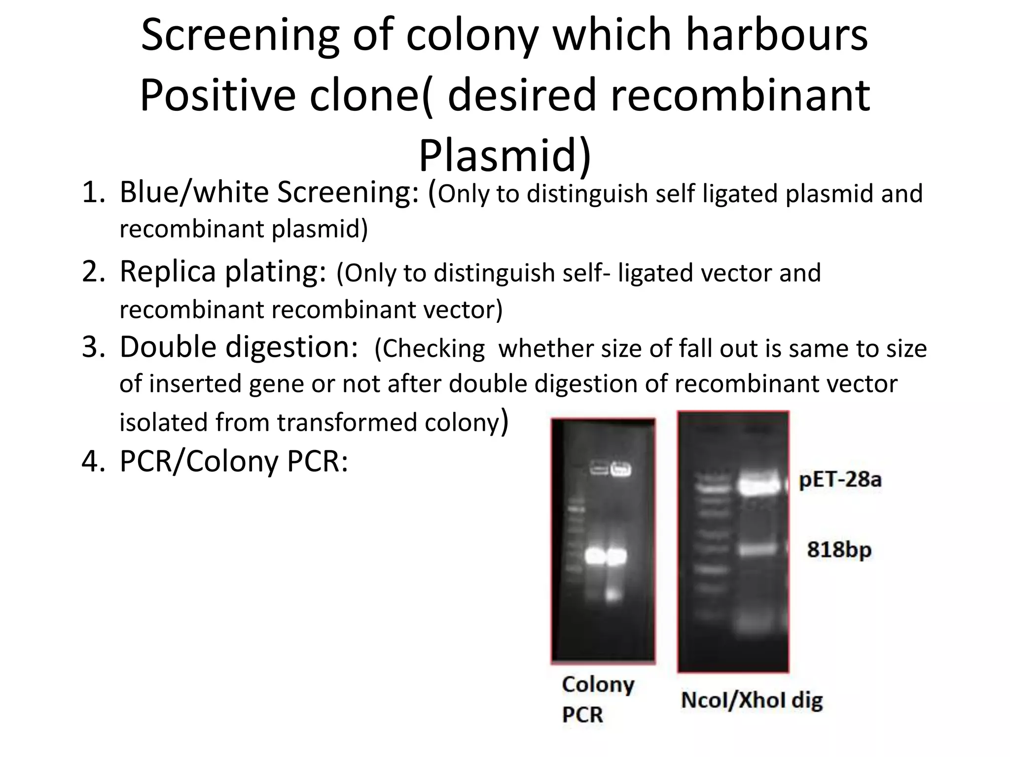 Various strategies for molecular cloning | PPTX