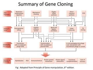 Various strategies for molecular cloning | PPTX