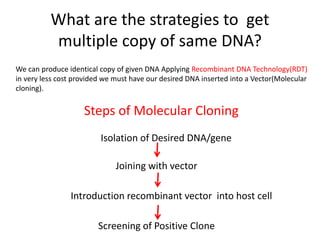 Various strategies for molecular cloning | PPTX