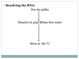 Various techniques in molecular bology | PPT