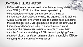 Various tools used in genetic engineering | PPTX