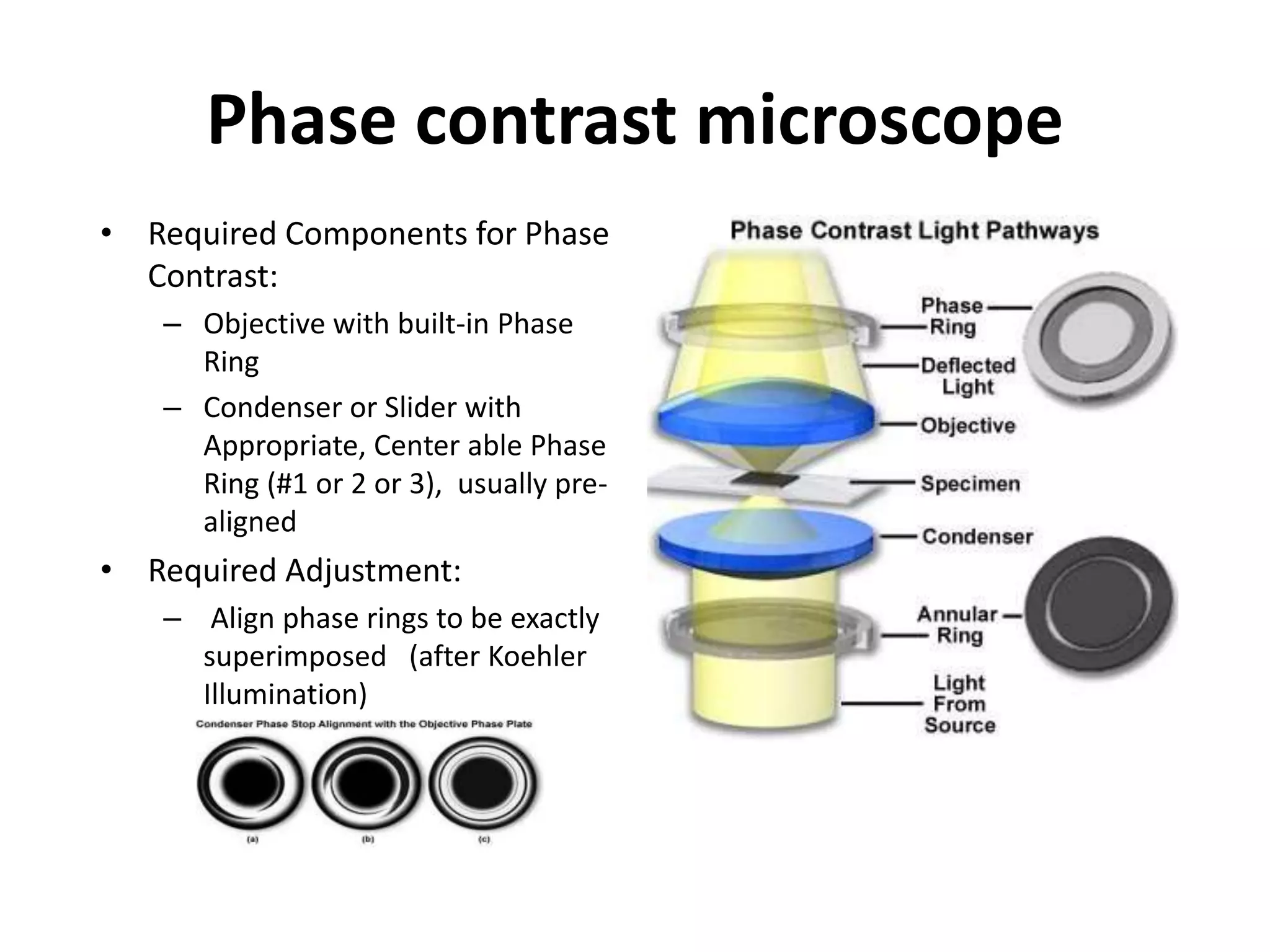 Various types of microscopes and microscopy | PPTX