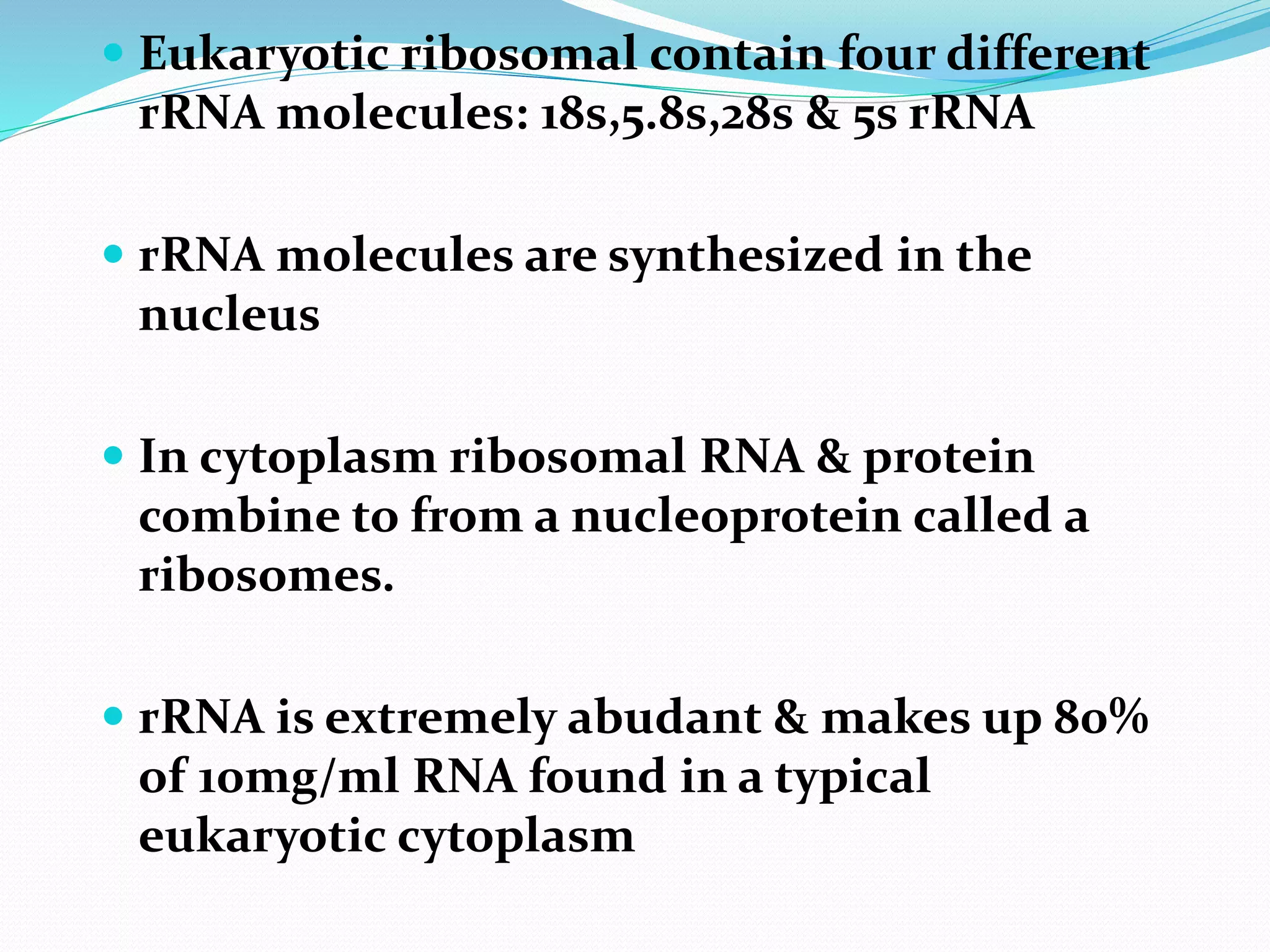 Various types RNA | PPTX