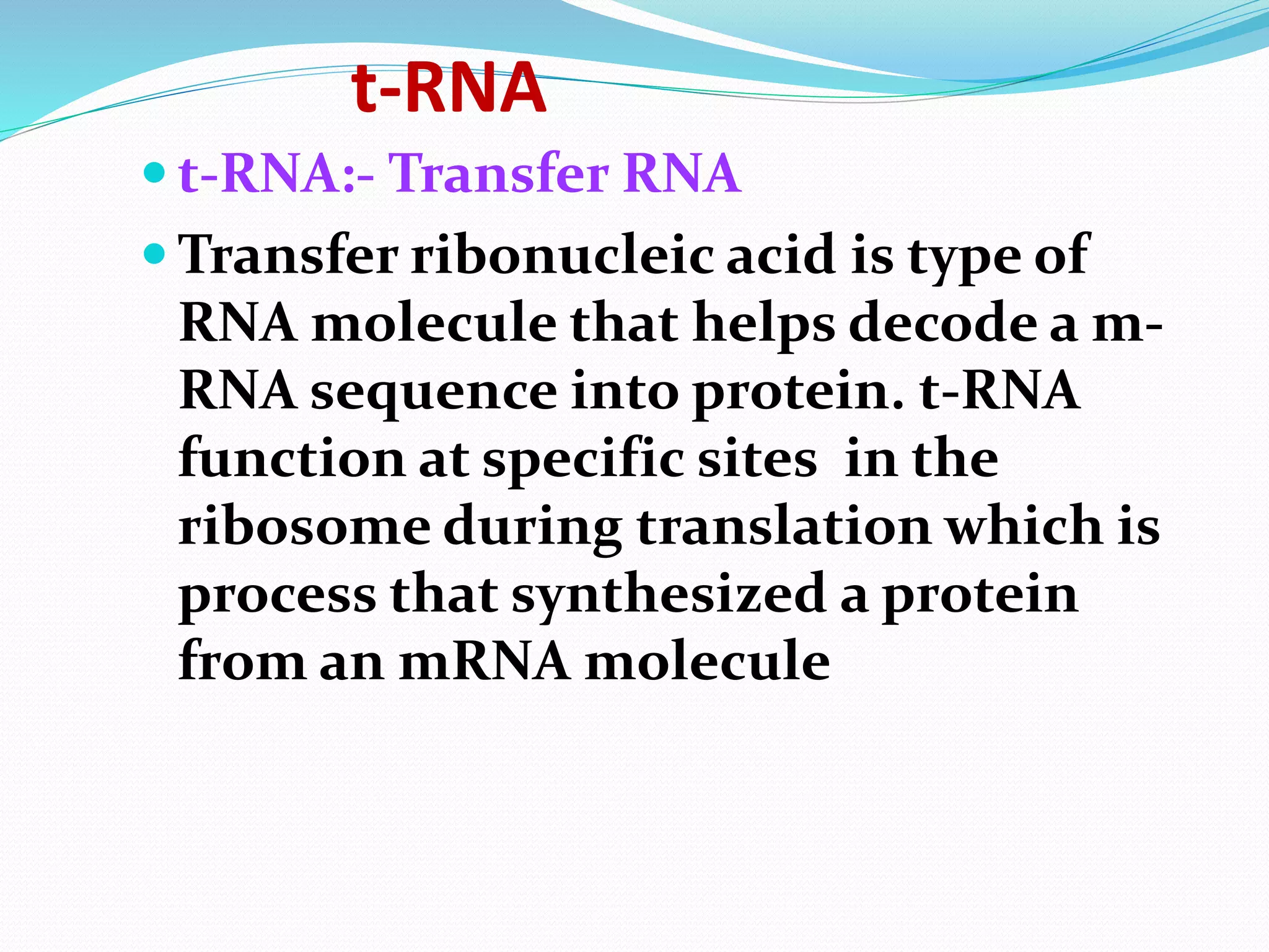 Various types RNA | PPTX | Biological Sciences | Science