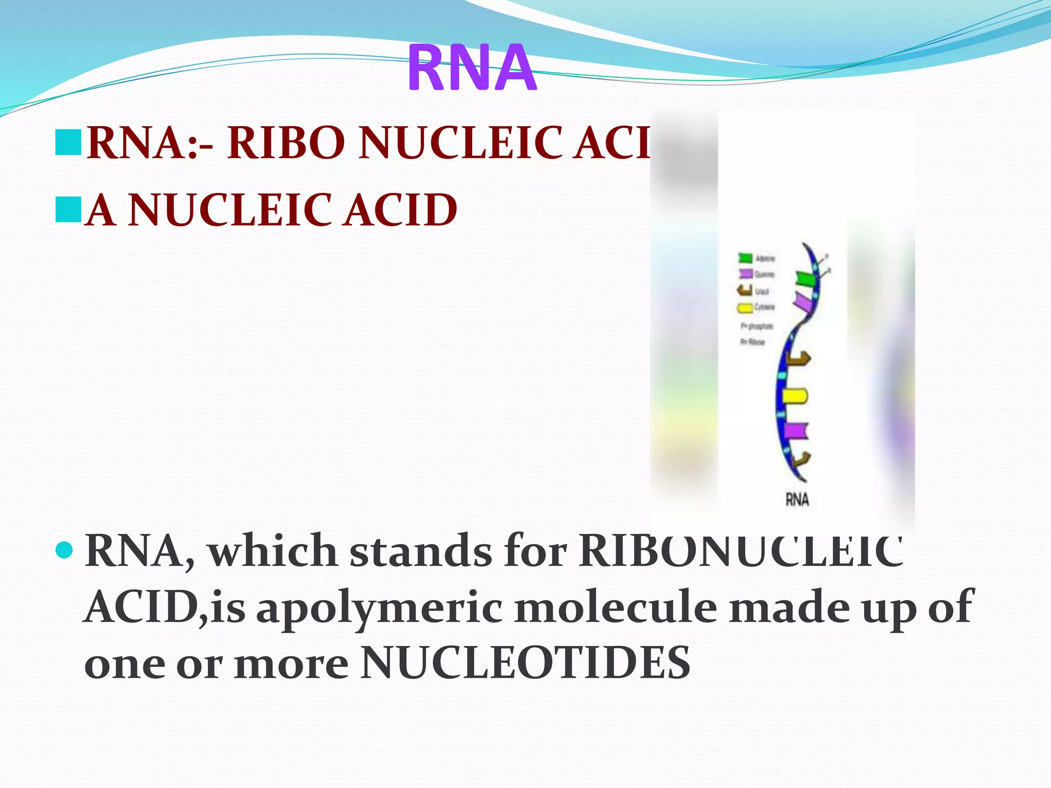 Various types RNA | PPTX