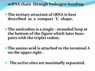 Various types RNA | PPTX
