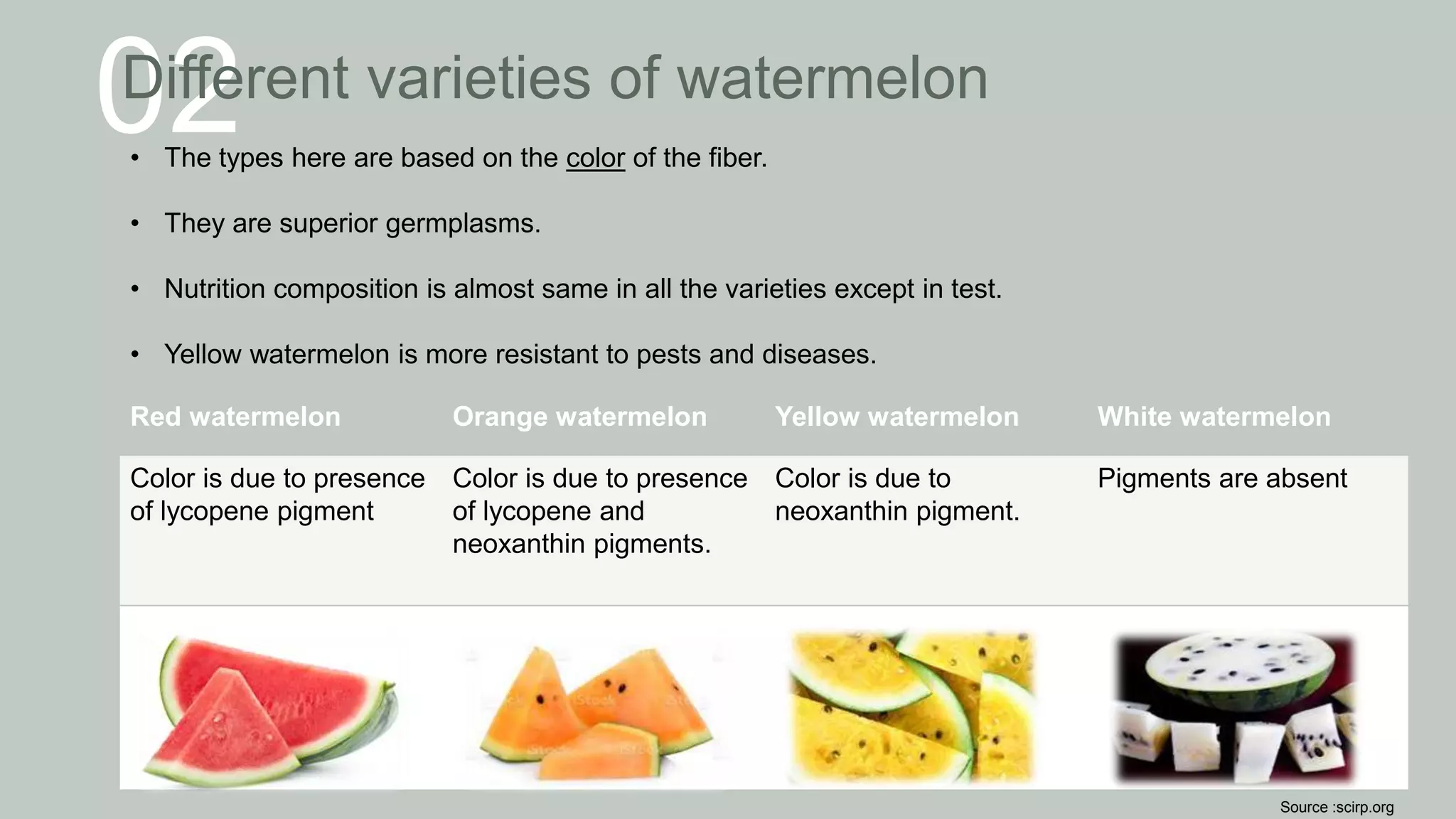 New Varities of watermelon | PPTX