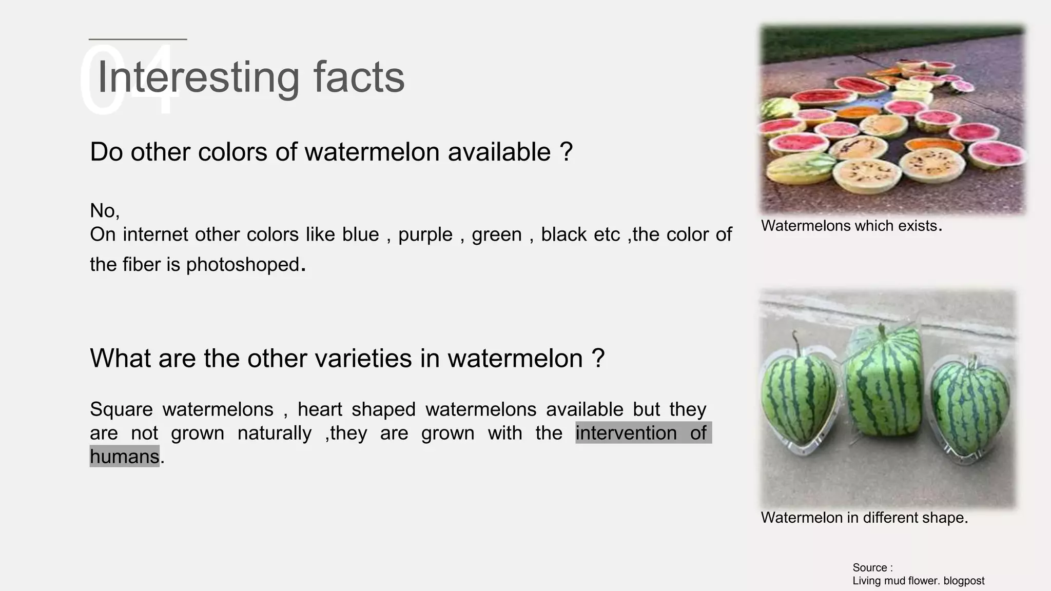 New Varities of watermelon | PPTX