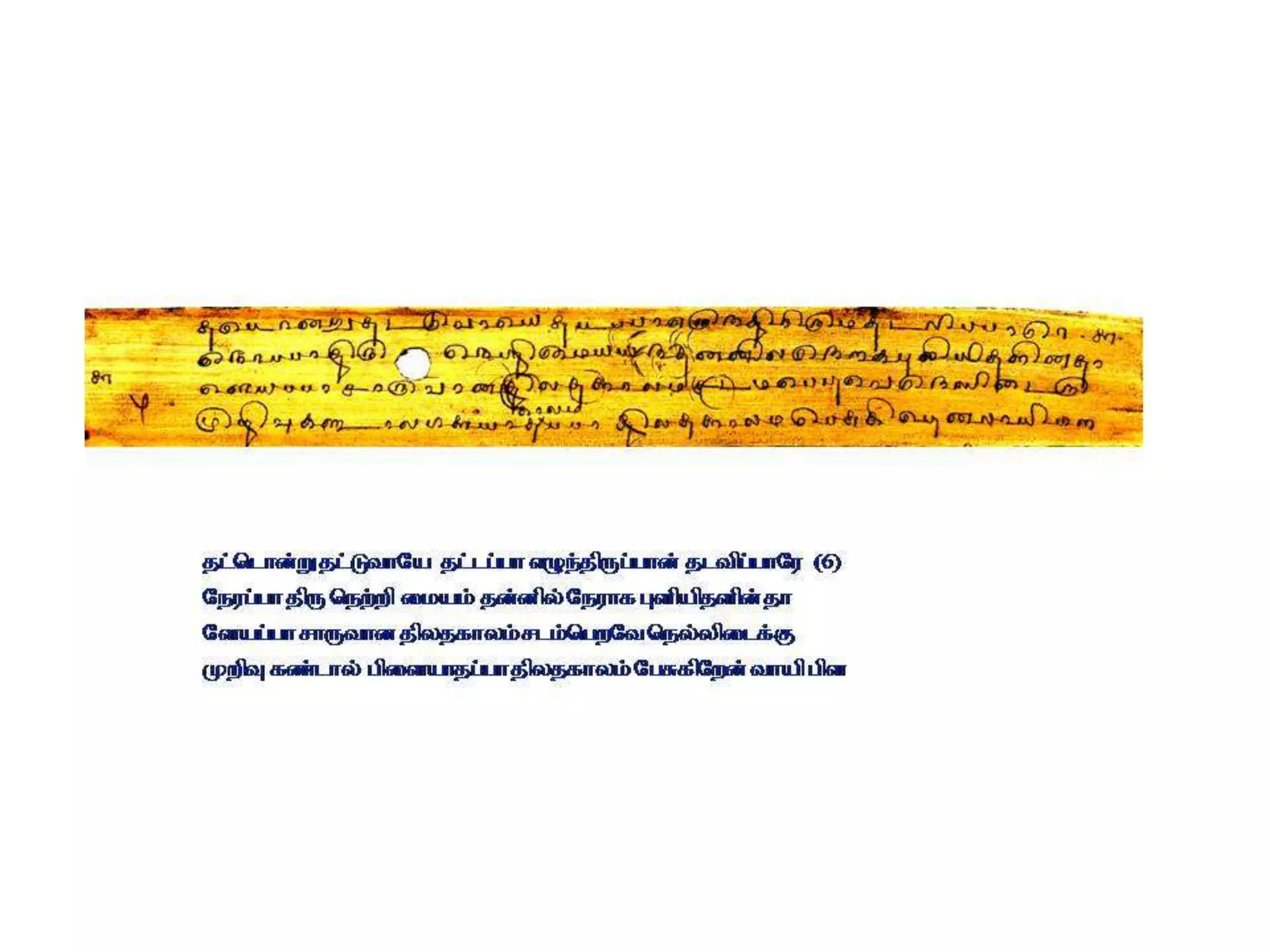 Varmam and Siddha Manuscript Digitalization | PPTX