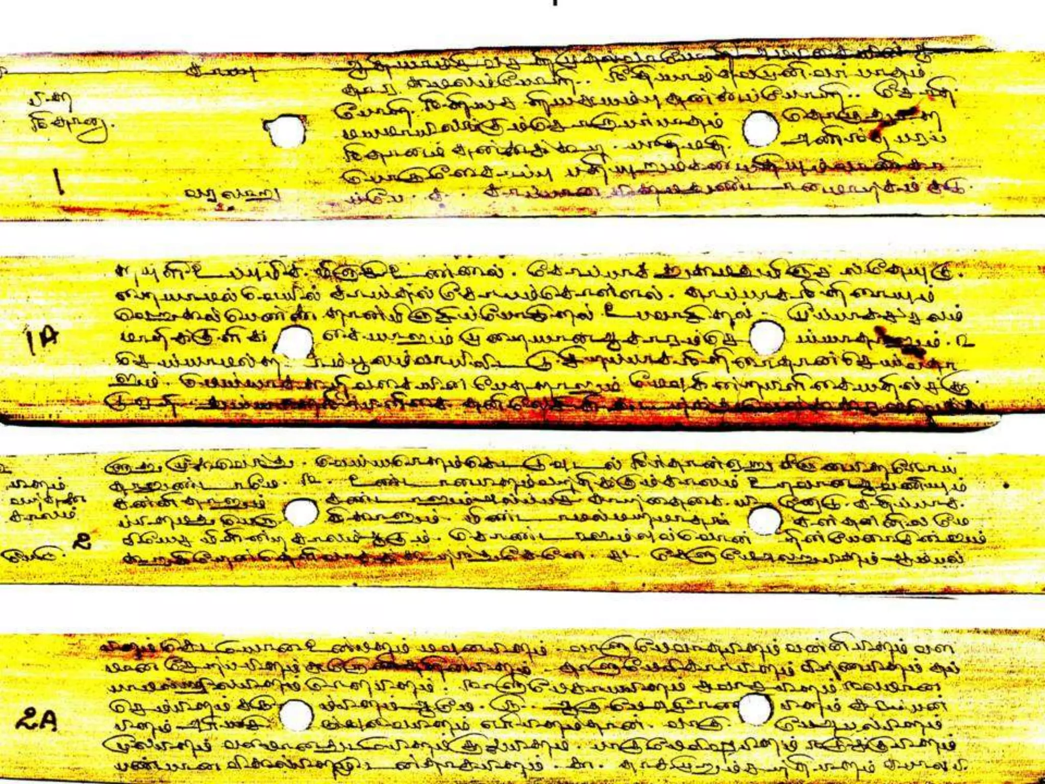 Varmam and Siddha Manuscript Digitalization | PPTX