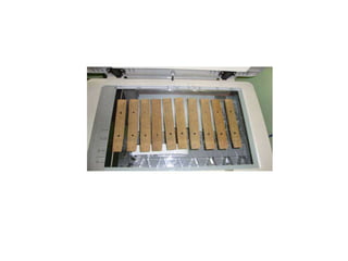 Varmam and Siddha Manuscript Digitalization | PPTX