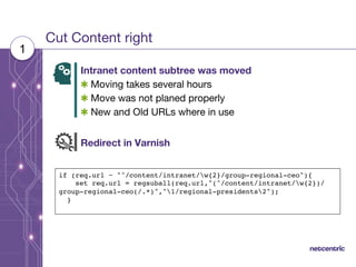 Netcentric: customer experience | PPT