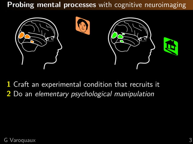 Atlases of cognition with large-scale human brain mapping | PPT