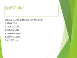 brain | PPTX | Brain and Nervous System Disorders | Diseases and Conditions