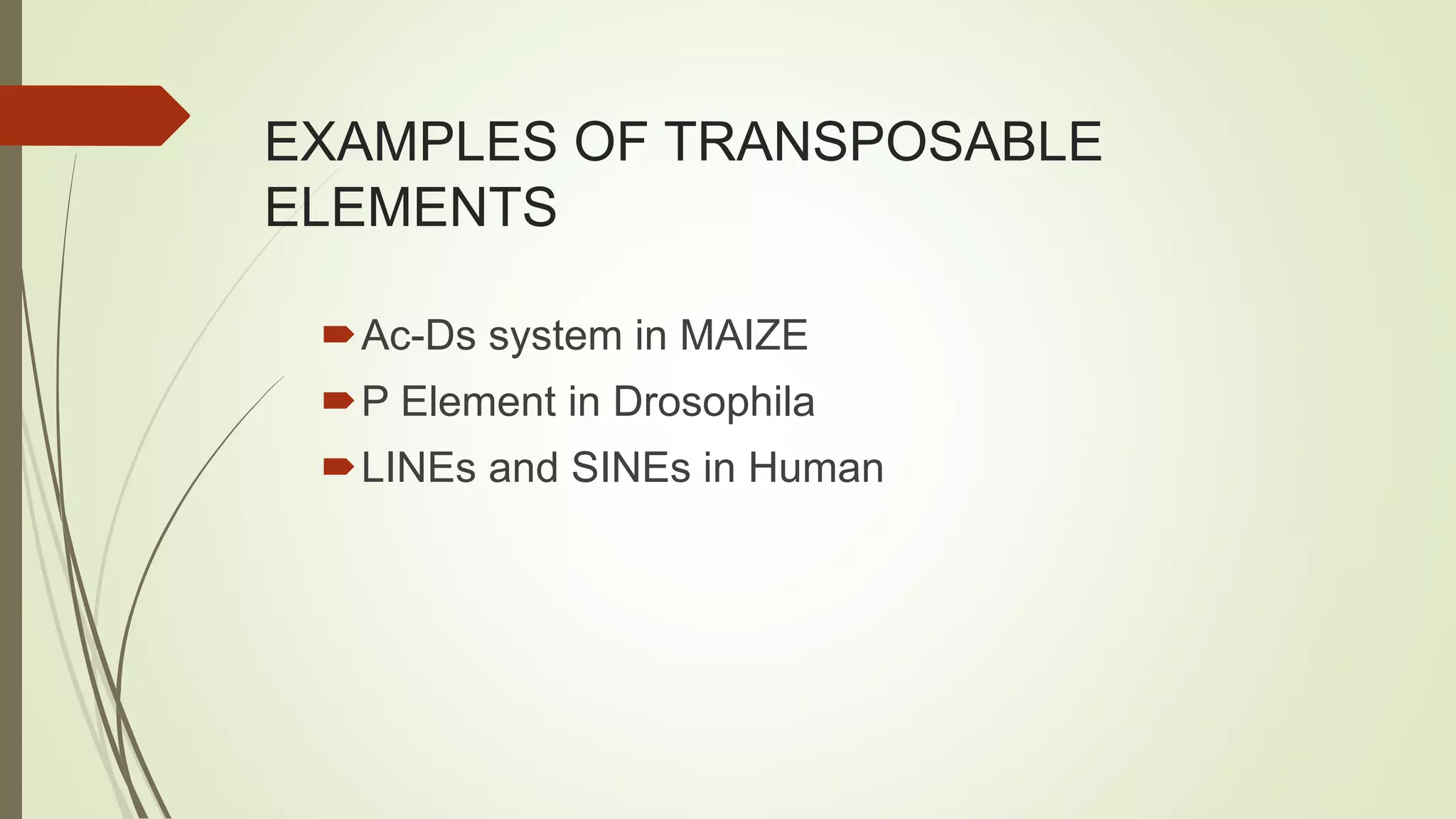 TRANSPOSABLE ELEMENTS | PPTX