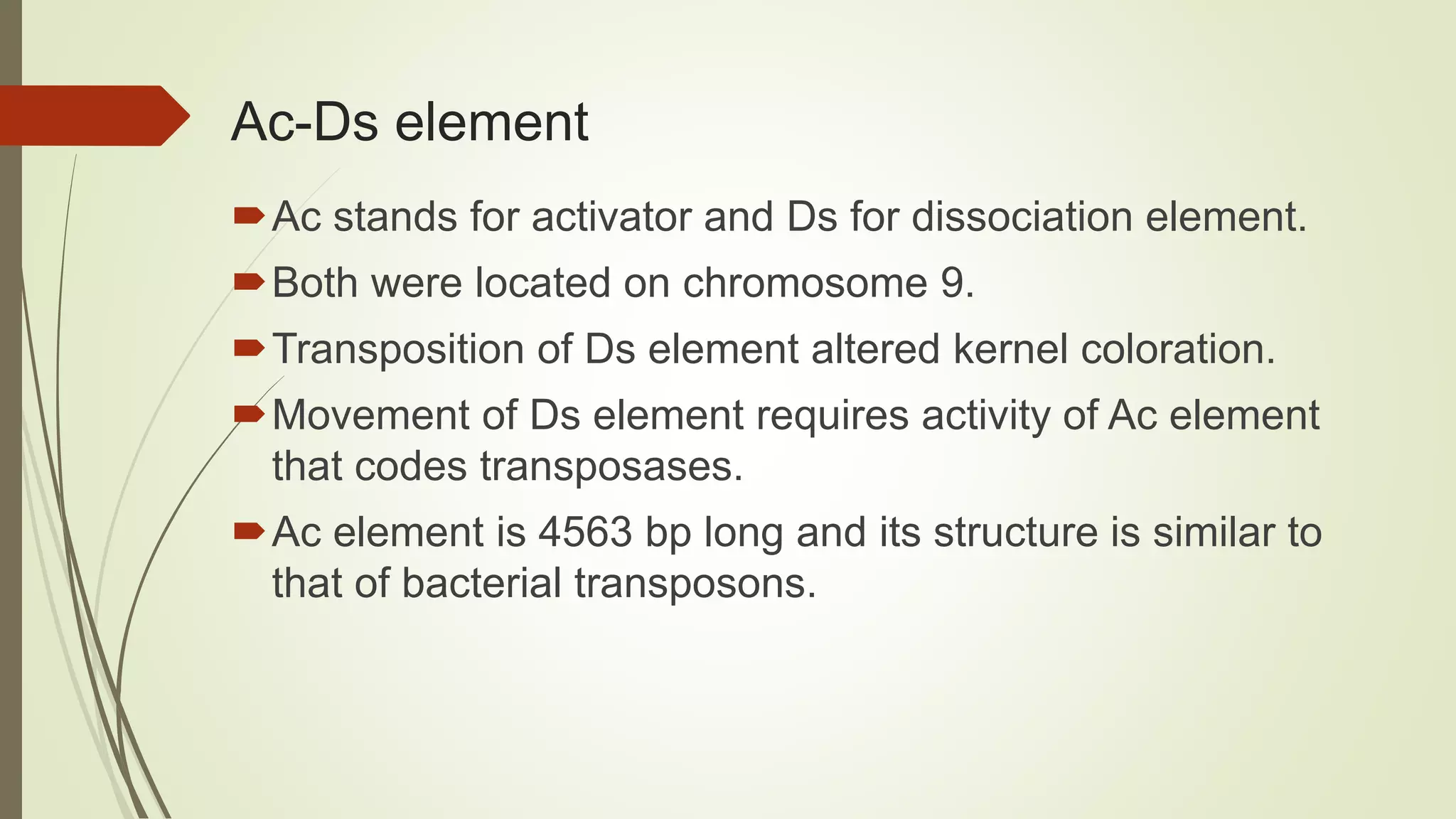 TRANSPOSABLE ELEMENTS | PPTX