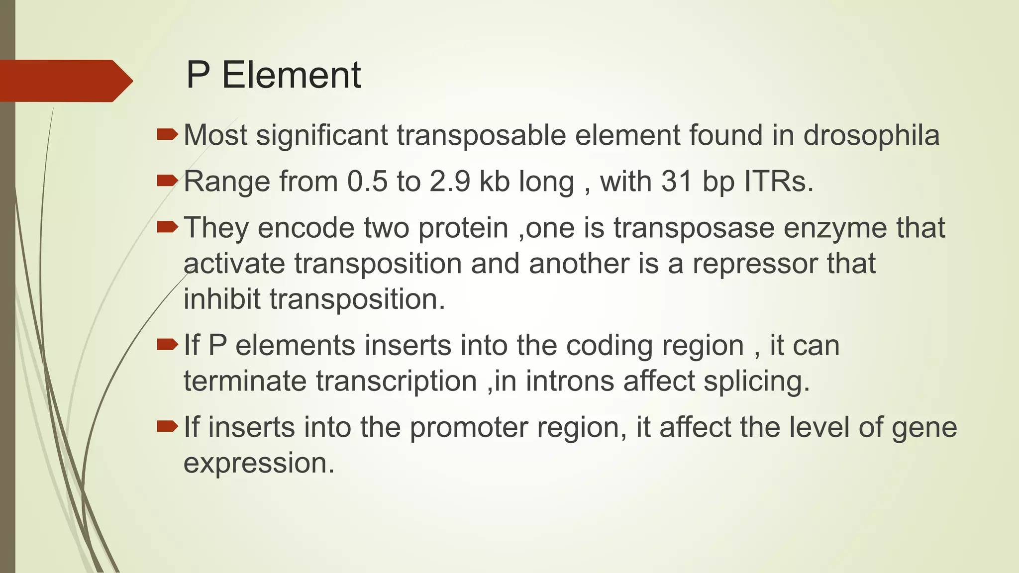 TRANSPOSABLE ELEMENTS | PPTX