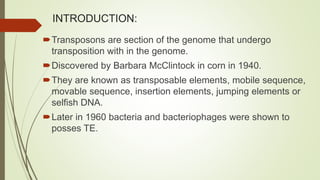 TRANSPOSABLE ELEMENTS | PPTX